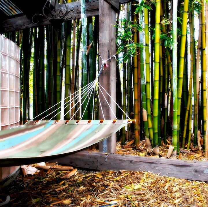 Events from April 20, 2022 – September 21, 2022 | Barn Life Recovery