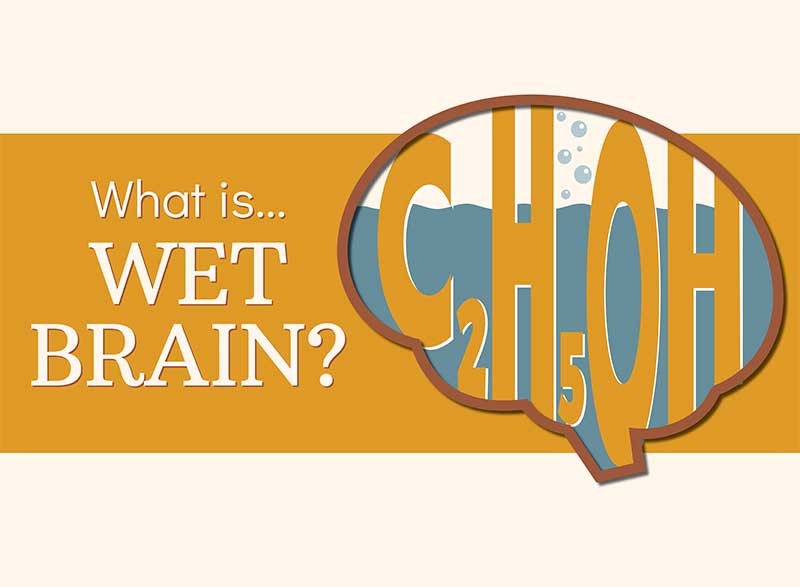 What is Wet Brain and Can it Be Cured? | Barn Life Recovery